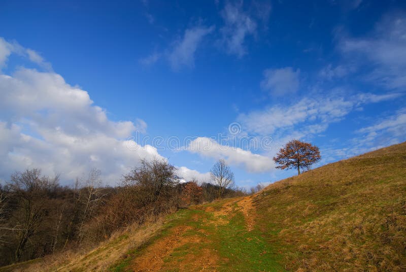 Yellow Clay Road and Blue Sky in Early Spring Stock Image - Image of ...