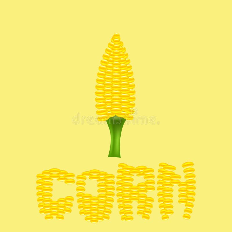 Yellow Cob Corn stock illustration. Illustration of leaf - 77681716