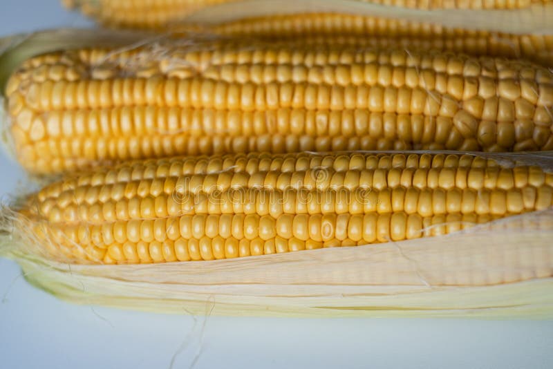 Yellow Cobs of Corn, Close Up Stock Image - Image of close, corns ...