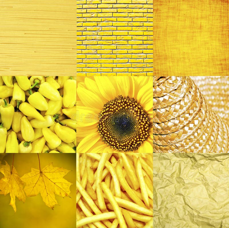 Beautiful yellow flower stock photo. Image of botanical - 16801892