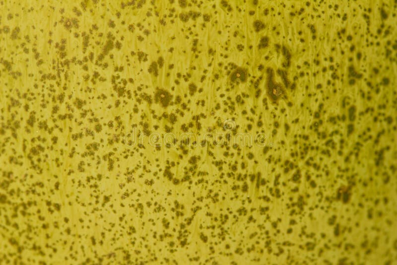 Yellow Color Background of Glazed Ceramic Stoneware Stock Photo - Image ...