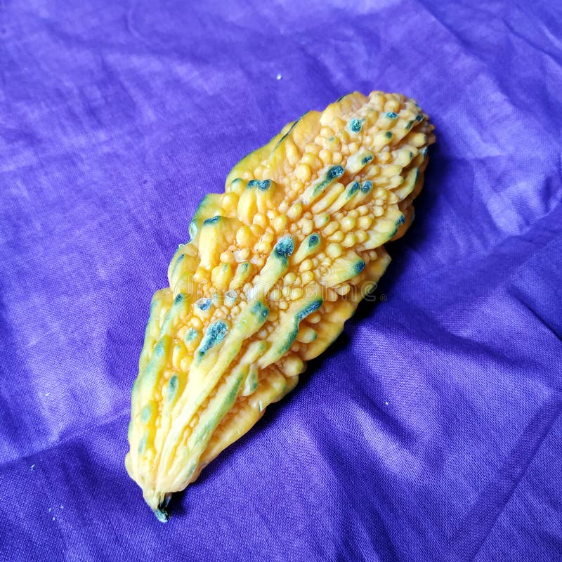 283 Gord Photos - Free & Royalty-Free Stock Photos from Dreamstime