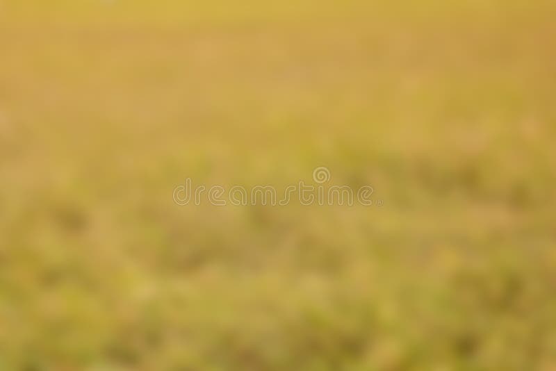 Yellow color blurry stock photo. Image of element, motion - 44924900