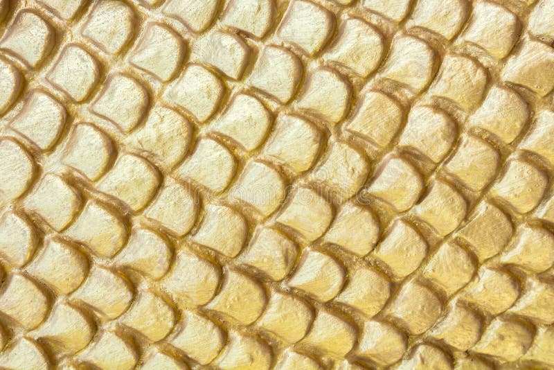 Yellow Color Dragon Texture. Stock Photo - Image of chinese, color ...