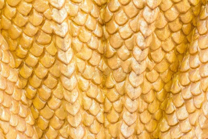 Dragon Scales Close Up