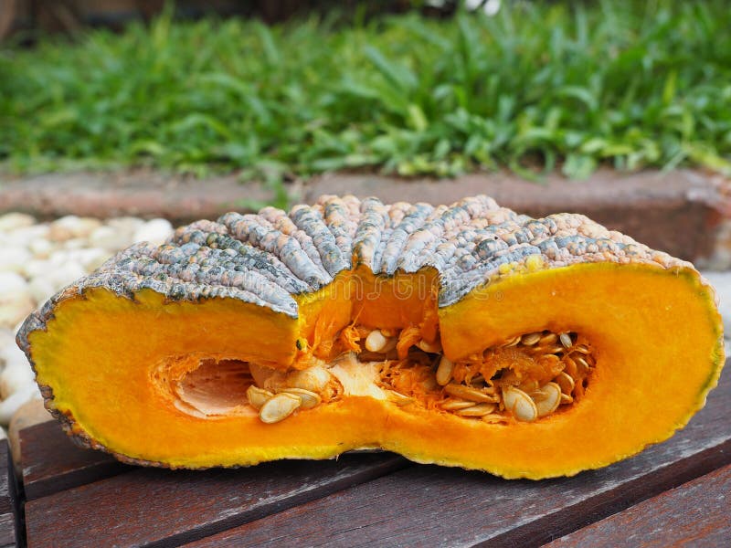 Yellow Color from Inside of Pumpkin with Motion Blur Stock Photo ...