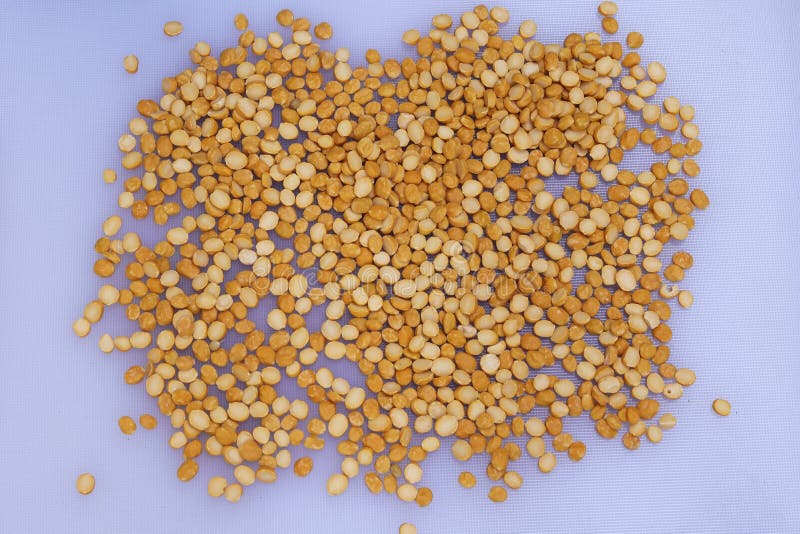 Yellow Color Split Raw Chana Dal or Chickpeas Lentils Stock Photo ... Yellow Color Split Raw Chana Dal or Chickpeas Lentils Stock Photo ...