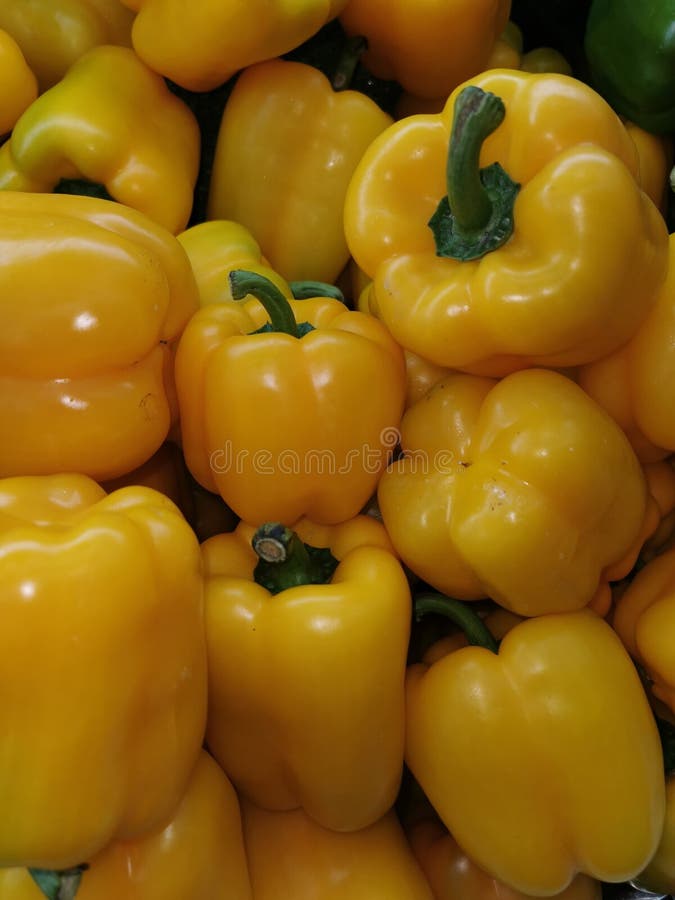 Yellow Colour Chili Nutrition Stock Photo - Image of chili, yellow ...
