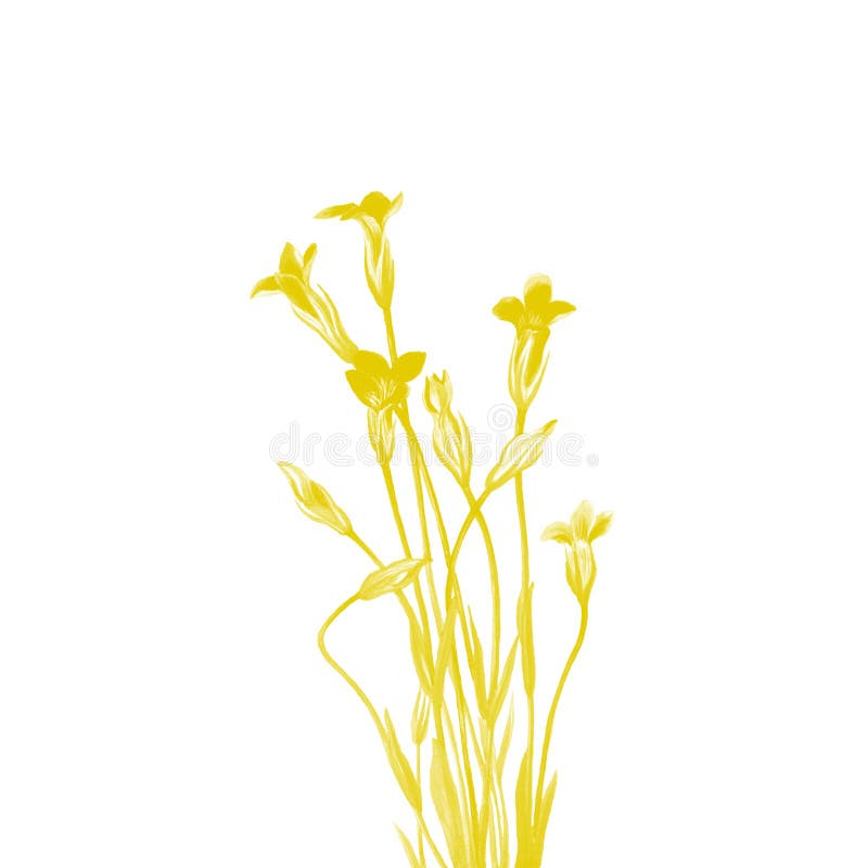 Yellow Colour Flower, Pattern Shirting Pattern Seamless Background ...