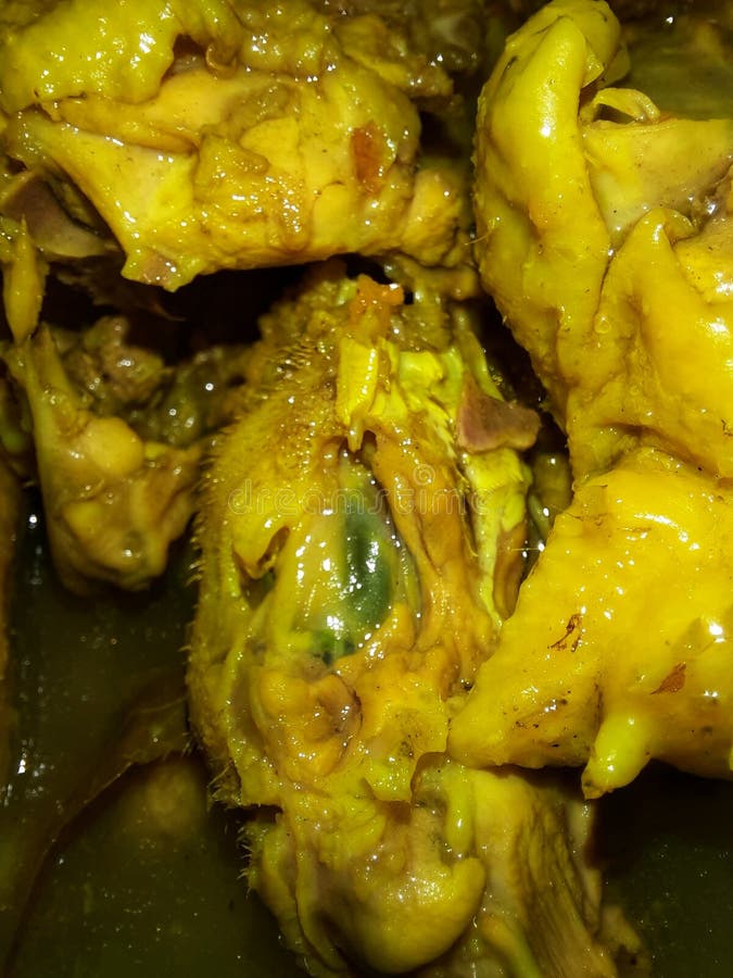 Yellow cooked chicken stock image. Image of soup, salad - 229246347