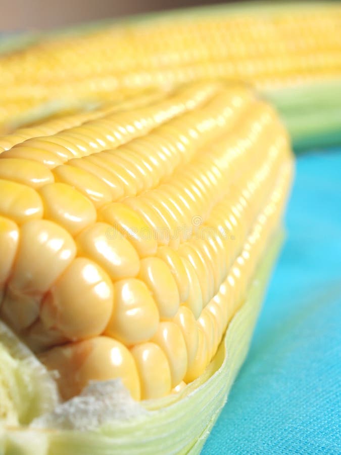 Yellow corn stock image. Image of bright, diagonal, macro - 21472813