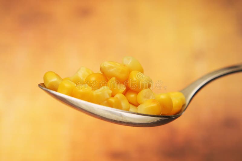 Yellow corn stock image. Image of leaf, golden, object - 22700041