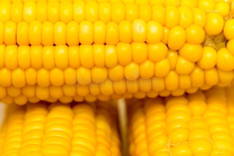 Yellow Corn As a Background. Macro Stock Photo - Image of gold ...
