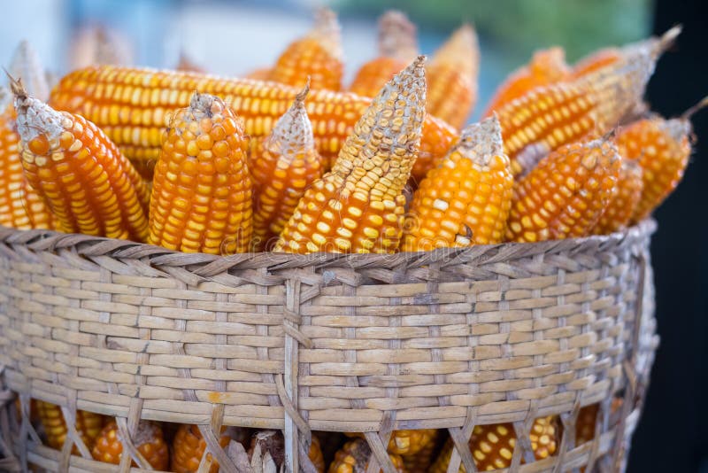 Corn in a Basket for Sale at the Fair. Stock Photo - Image of areas ...