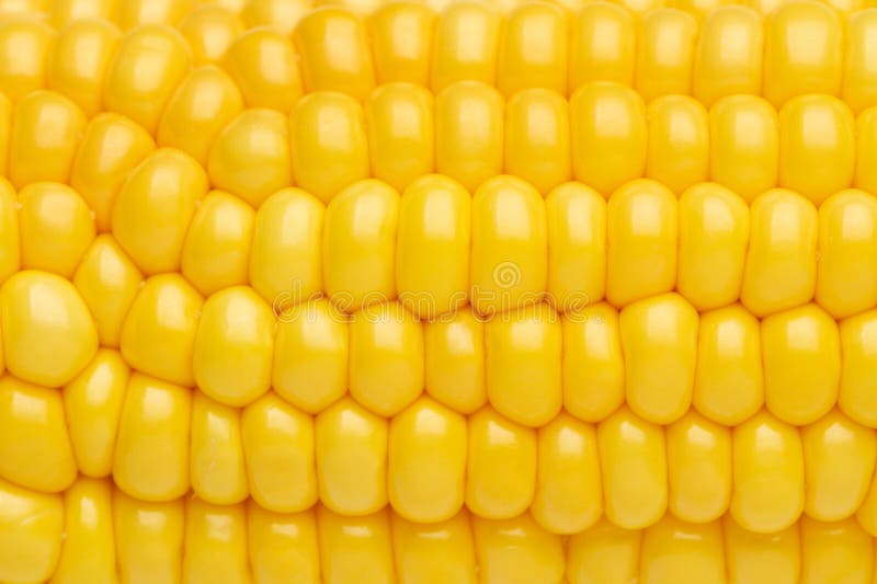 Texture of a Yellow Corn in a Close Up View Stock Photo - Image of ...