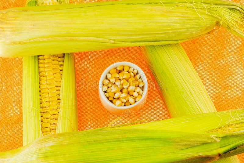 Core of corn stock image. Image of boiled, yellow, isolated - 129883773