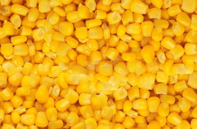 Yellow Corn Grain Background Stock Image - Image of maize, closeup ...