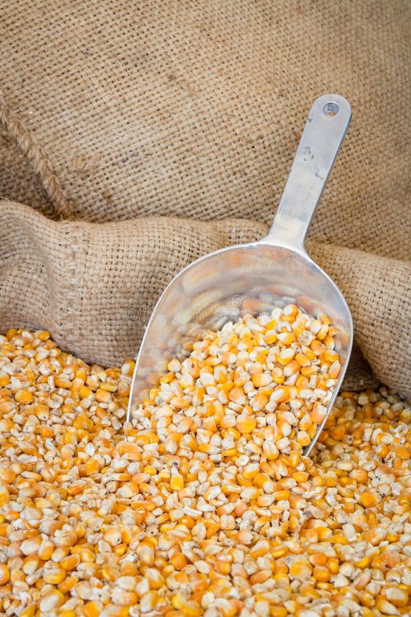 Burlap Sack Background and Texture Stock Photo - Image of sackcloth ...