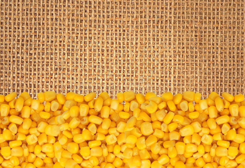 Yellow Corn Gran Over Linen Texture Stock Photo - Image of health ...