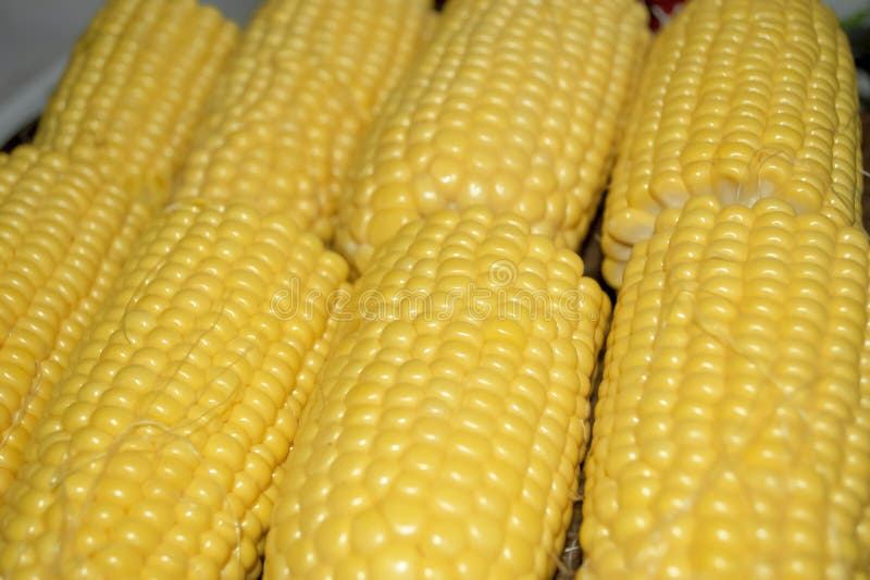 Yellow Corn. Heads of Corn Lie in a Row. Sugar Heads. Cooking Corn ...