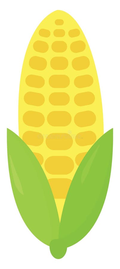 Yellow Corn, Illustration, Vector Stock Illustration - Illustration of ...