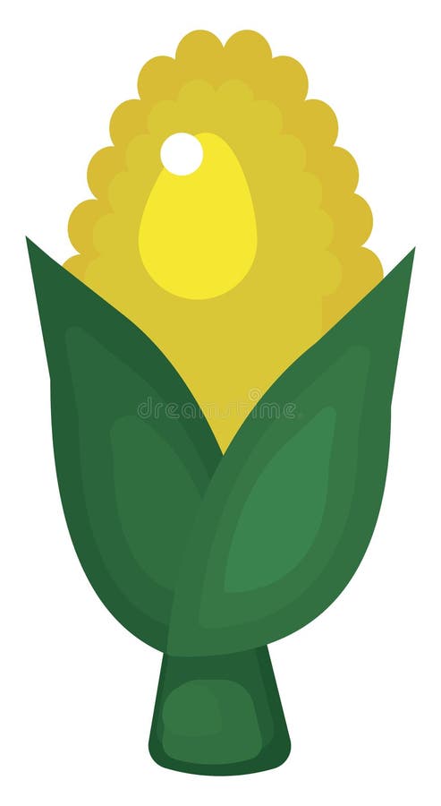 Yellow Corn , Illustration, Vector Stock Vector - Illustration of ...