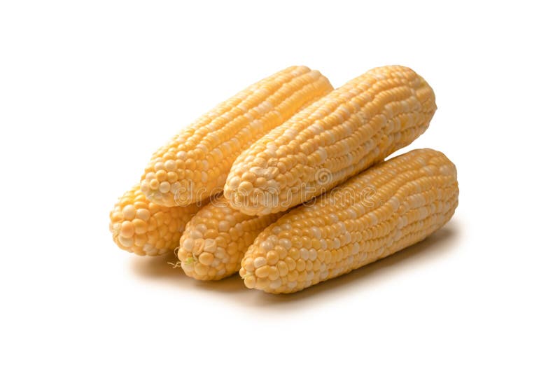 Yellow Corn Isolated on White Background. Copyspace Stock Photo - Image ...