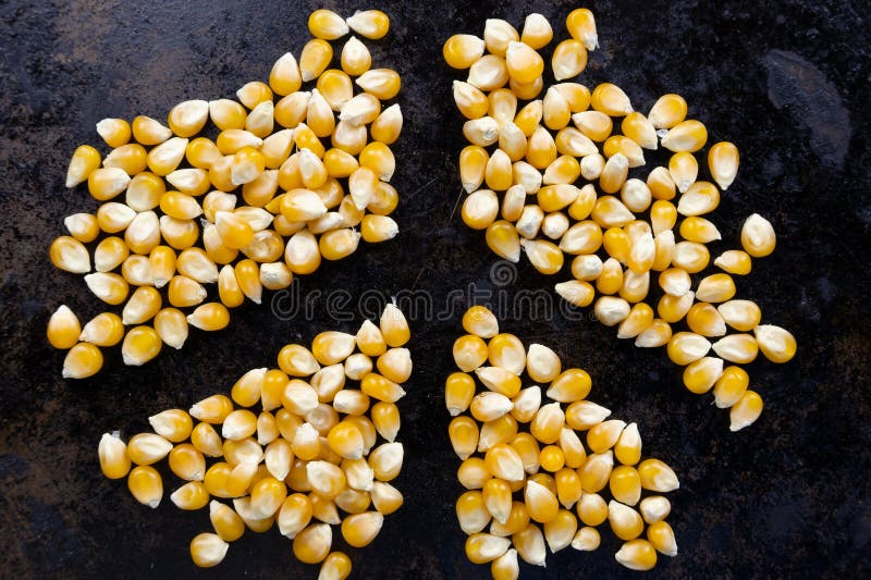 Add Form To Table Stock Photos - Free & Royalty-Free Stock Photos from ...