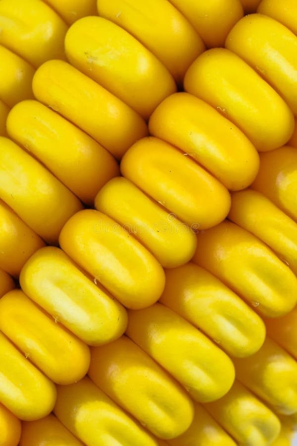 Yellow Corn Kernels with Visible Details. Background or Texture Stock ...