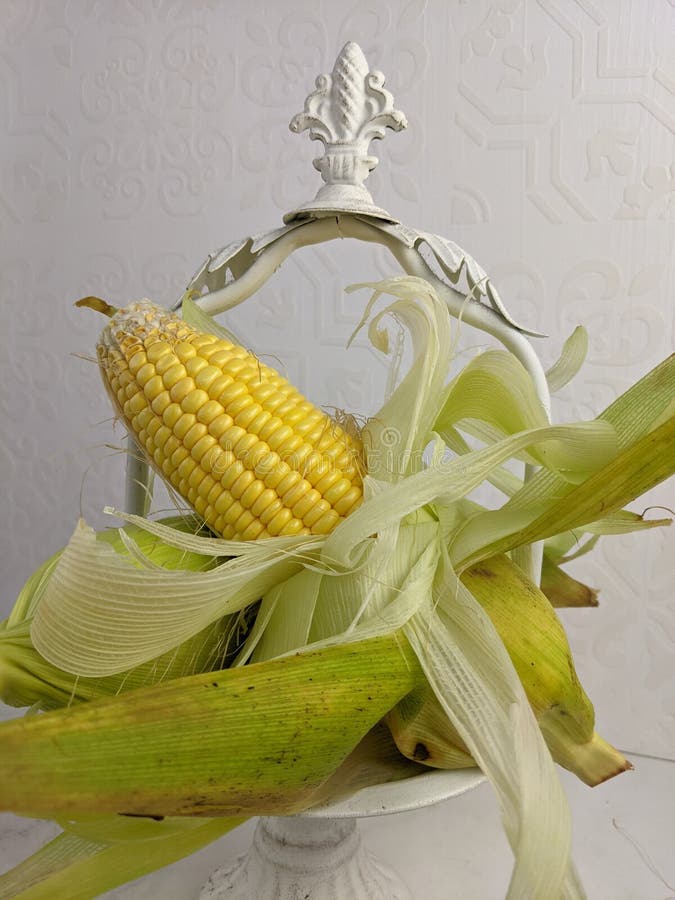 Peeled Fresh Corn with Leaves on the Iron Rack with White and Bright ...