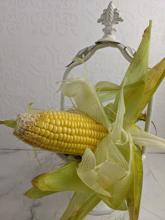 Peeled Fresh Corn with Leaves on the Iron Rack with White and Bright ...