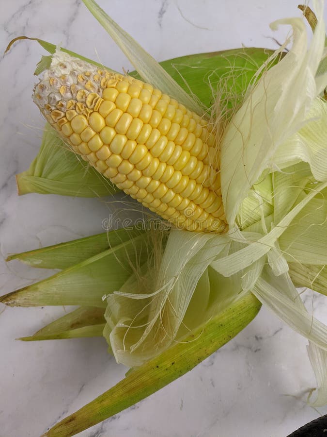 Peeled Fresh Corn with Leaves on the Iron Rack with White and Bright ...