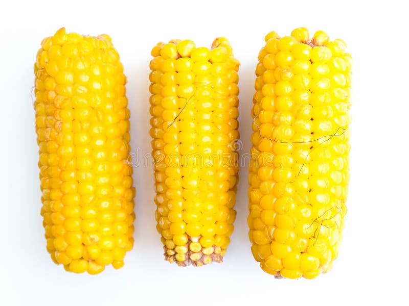The yellow corn. stock photo. Image of organic, fresh - 81101166