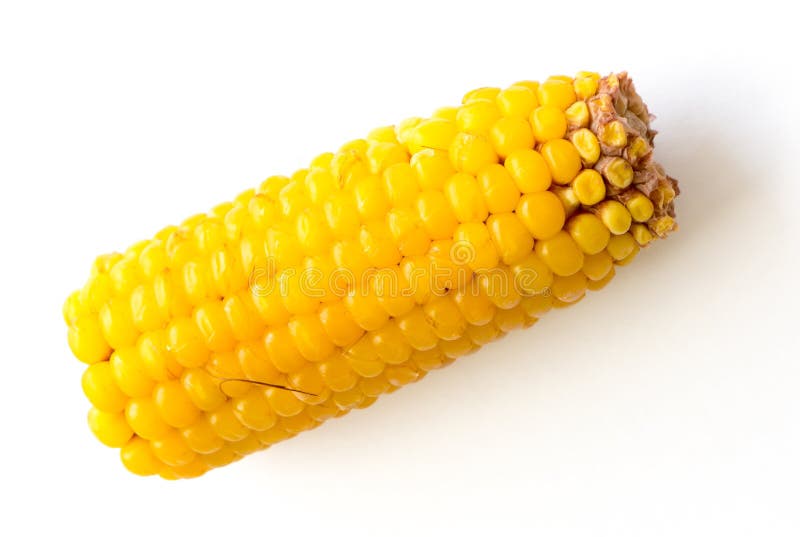 The yellow corn. stock photo. Image of yellow, food, corn - 81109546