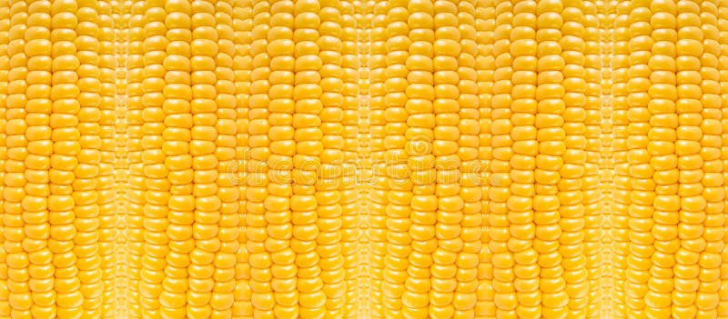 Abstract Vegetable Background. Stock Photo - Image of bean, fresh: 11325934