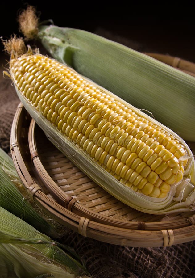 Yellow corn stock image. Image of golden, nutrition, husk - 33799847