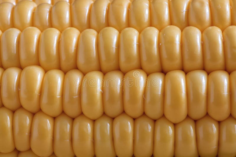 Yellow Corn Pattern Close Up Stock Photo - Image of plant, pattern ...