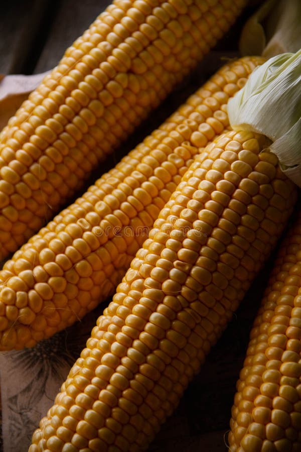 Robust Plan Stock Photos - Free & Royalty-Free Stock Photos from Dreamstime