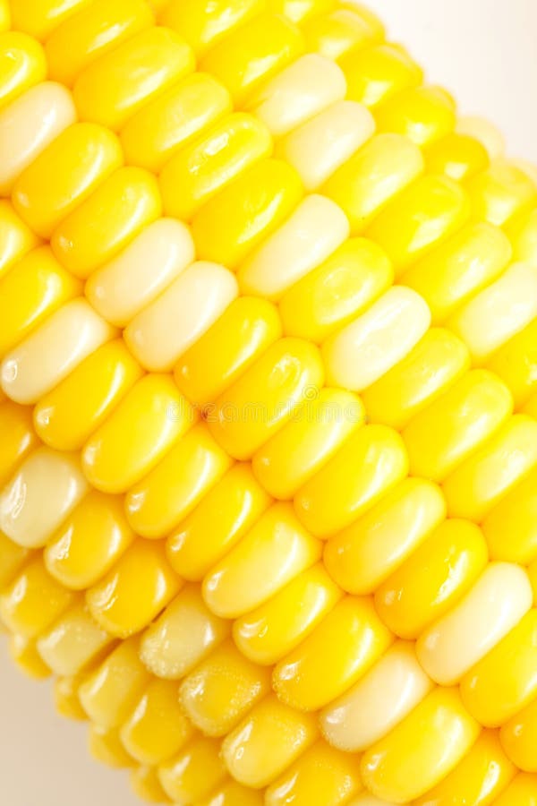 Yellow corn in row stock photo. Image of food, tasty - 22842792