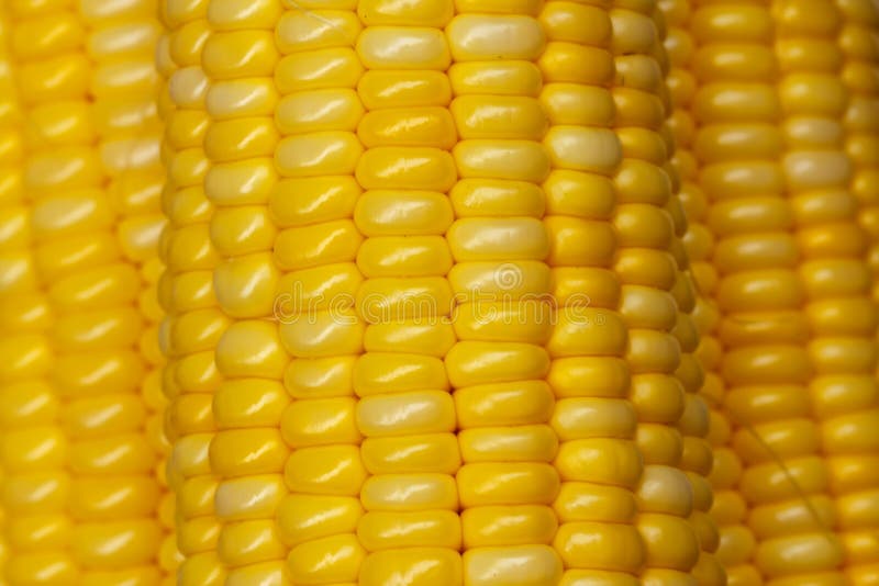 Corn On The Skin. The Corn Popped. Treatment Of Wound With Hydrogen ...
