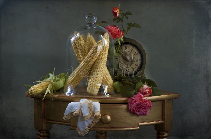 Corn roses stock photo. Image of gardening, field, flower - 67971778