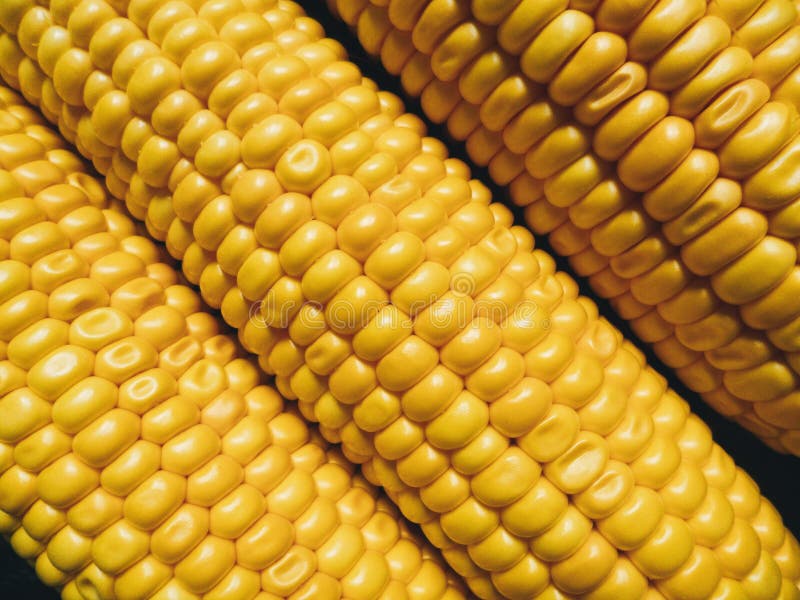 Yellow Corn Texture, Vegetables Stock Image - Image of commodity, corn ...