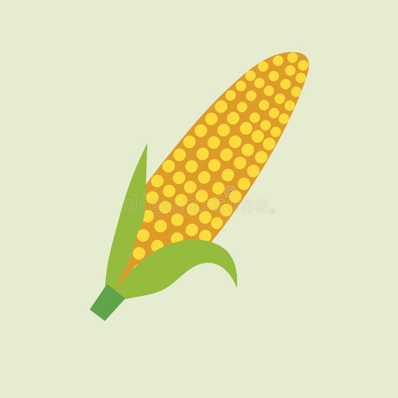 Yellow Corn Vector or Color Illustration Stock Vector - Illustration of ...