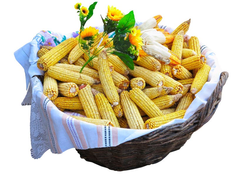 Yellow Corn Vegetable in Basket Isolated Stock Image - Image of basket ...