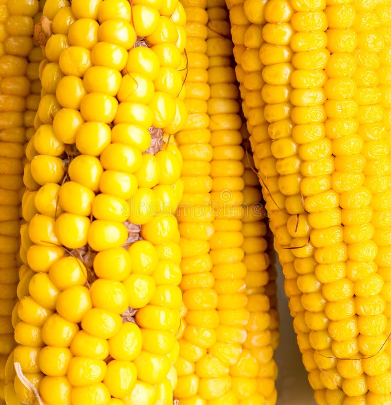 Yellow Corn Seeds Pile On White With Green Leaf Stock Image - Image of ...