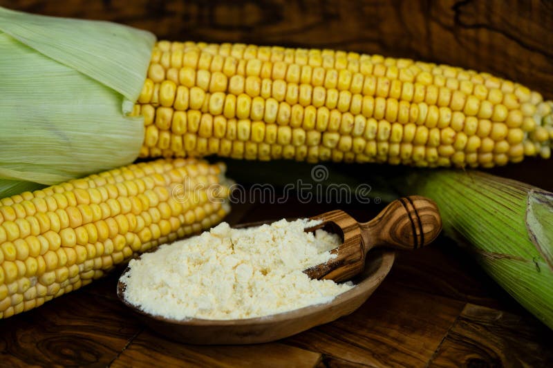 Corn Zea mays stock photo. Image of farming, farm, fresh - 333012134