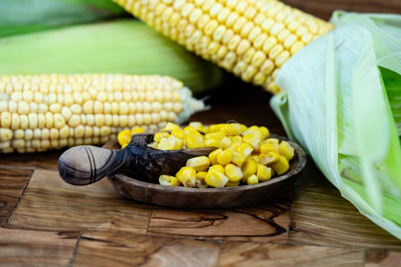 Corn Zea mays stock photo. Image of grain, leaf, kernel - 333012032
