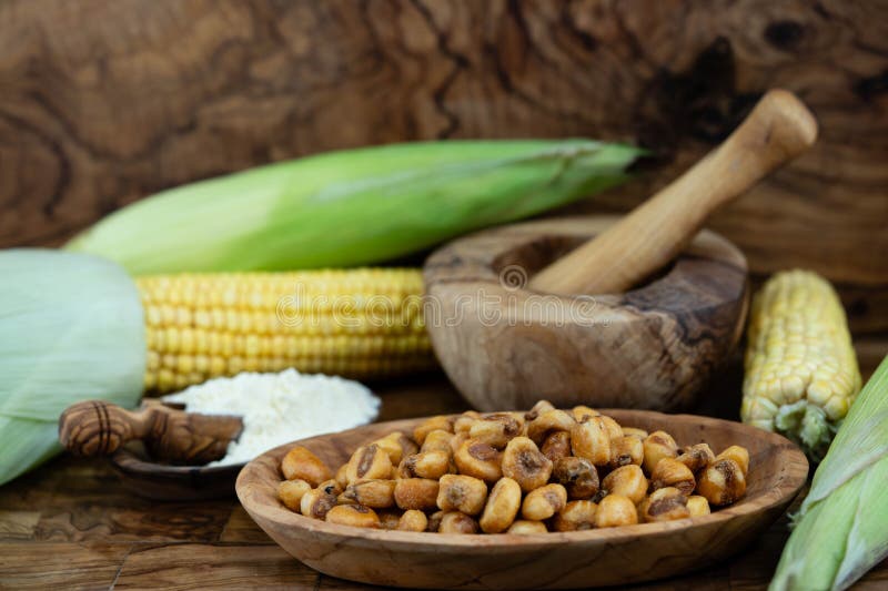 Corn Zea mays stock photo. Image of grain, mays, food - 333012088