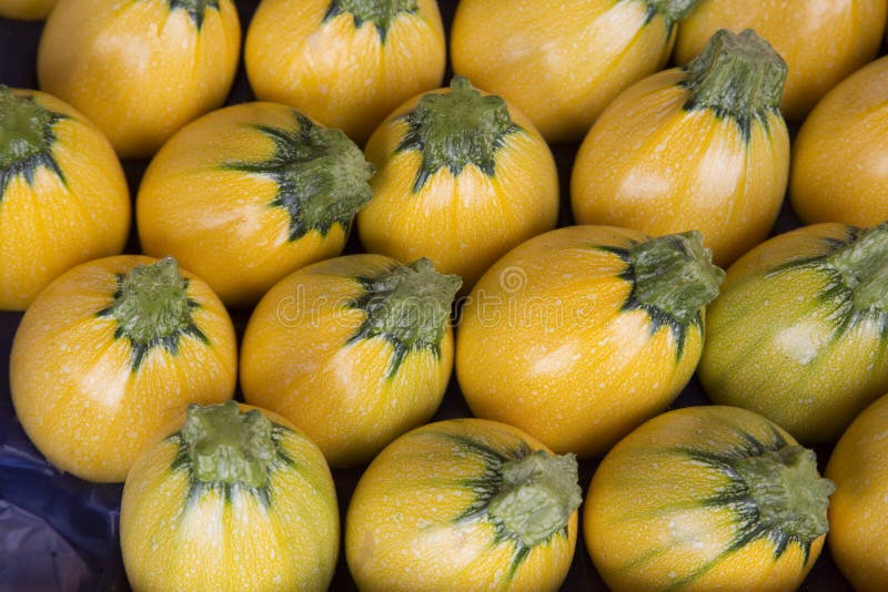 Yellow Courgette Zucchini Vegetable Stock Image - Image of fruit ...