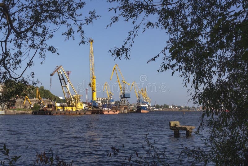 Yellow Cranes at Work in Vyborg Port at Bay. Russia Stock Photo - Image ...